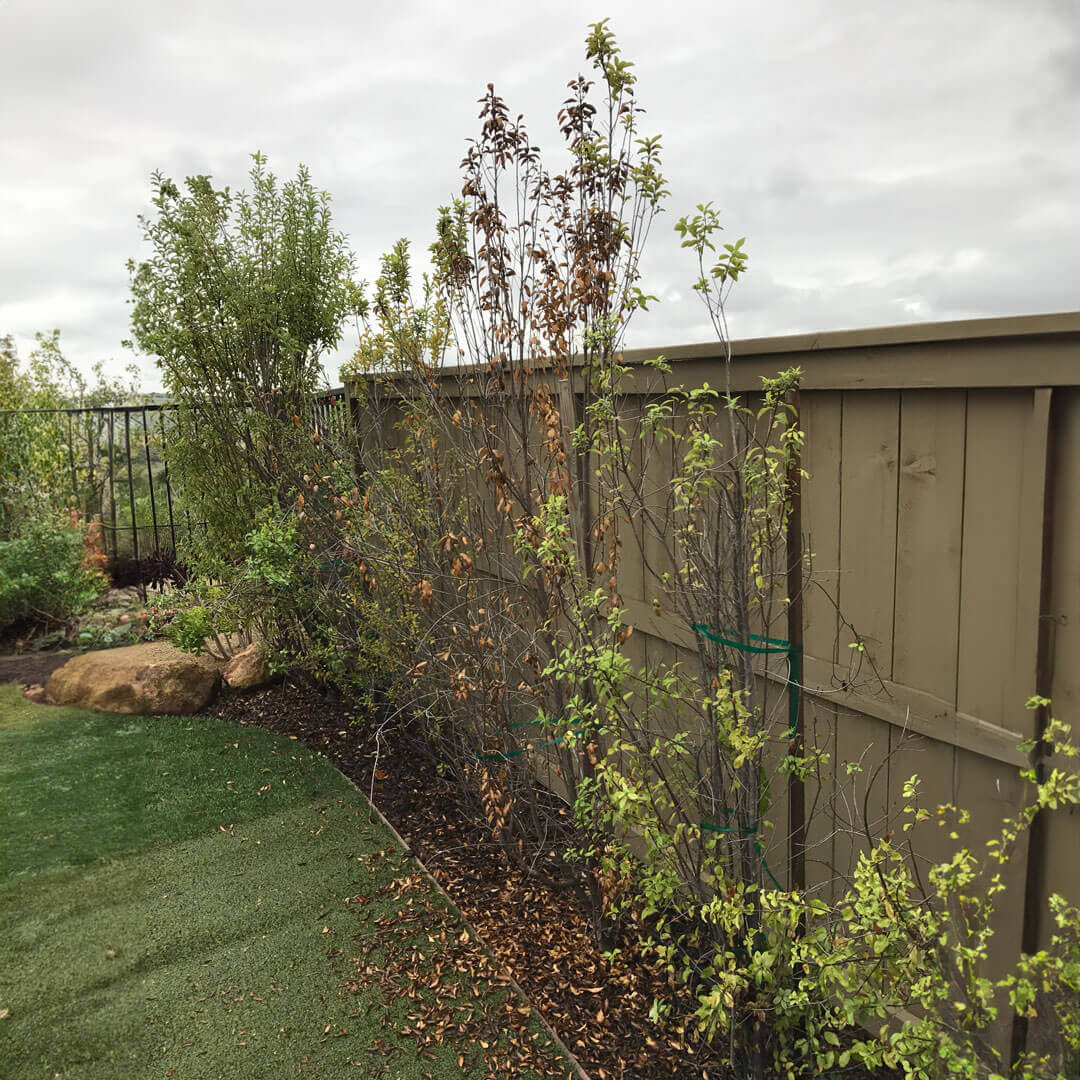 Fixes for "Window Burn" - Total Screen